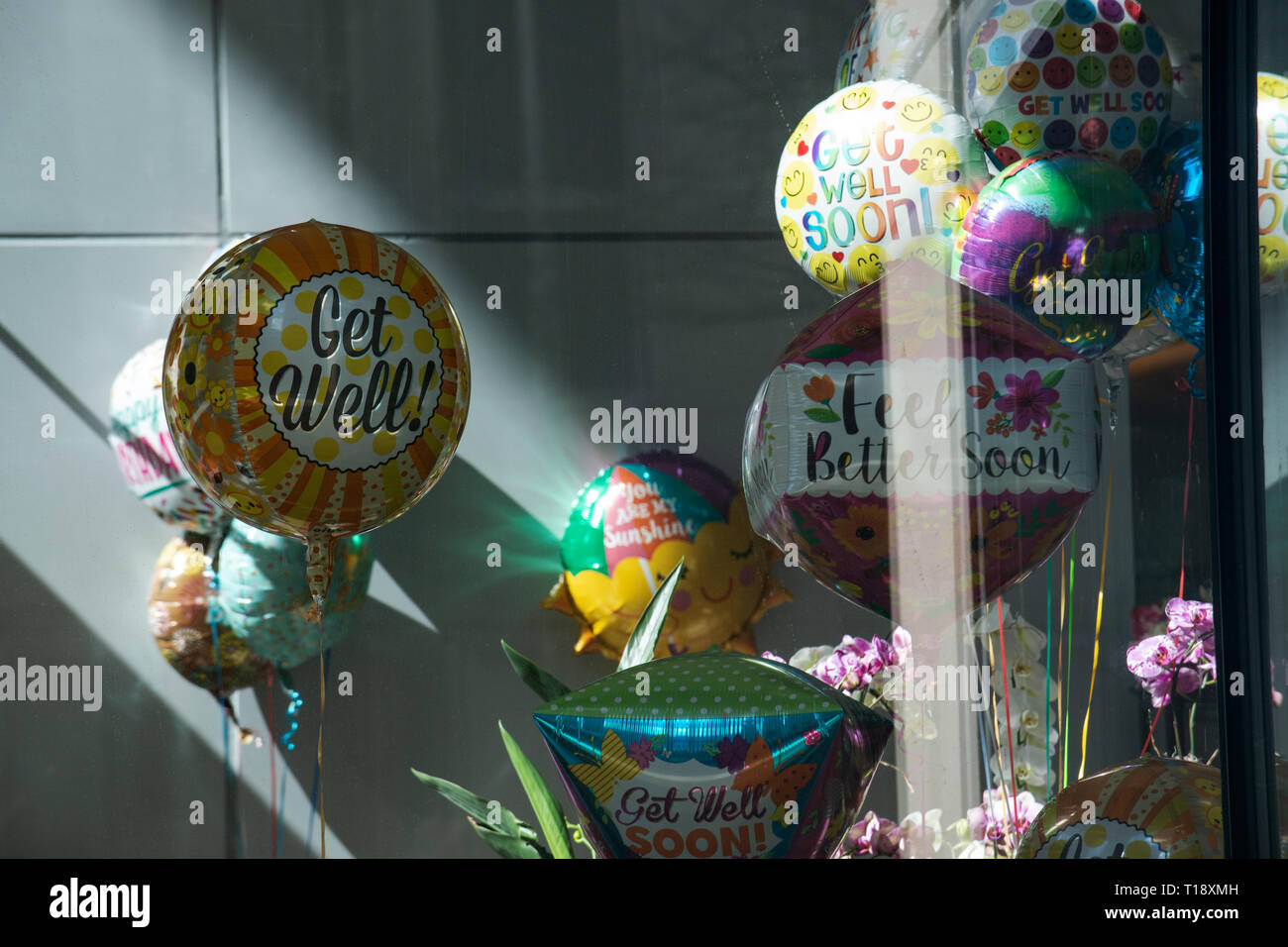 Party city store balloons hi-res stock photography and images - Alamy