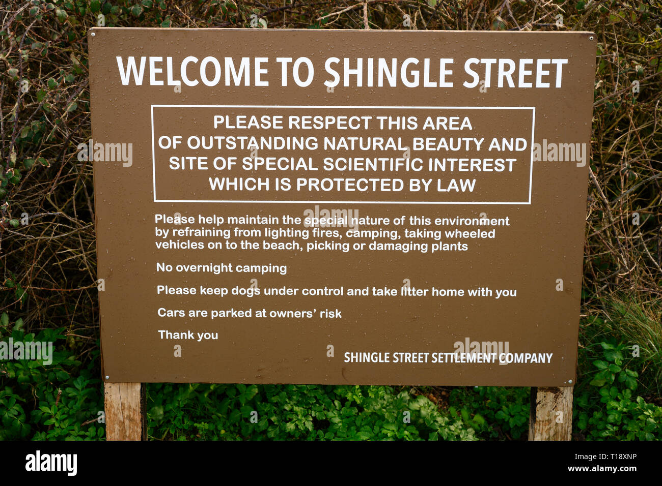 Shingle street site of special scientific interest hi-res stock ...