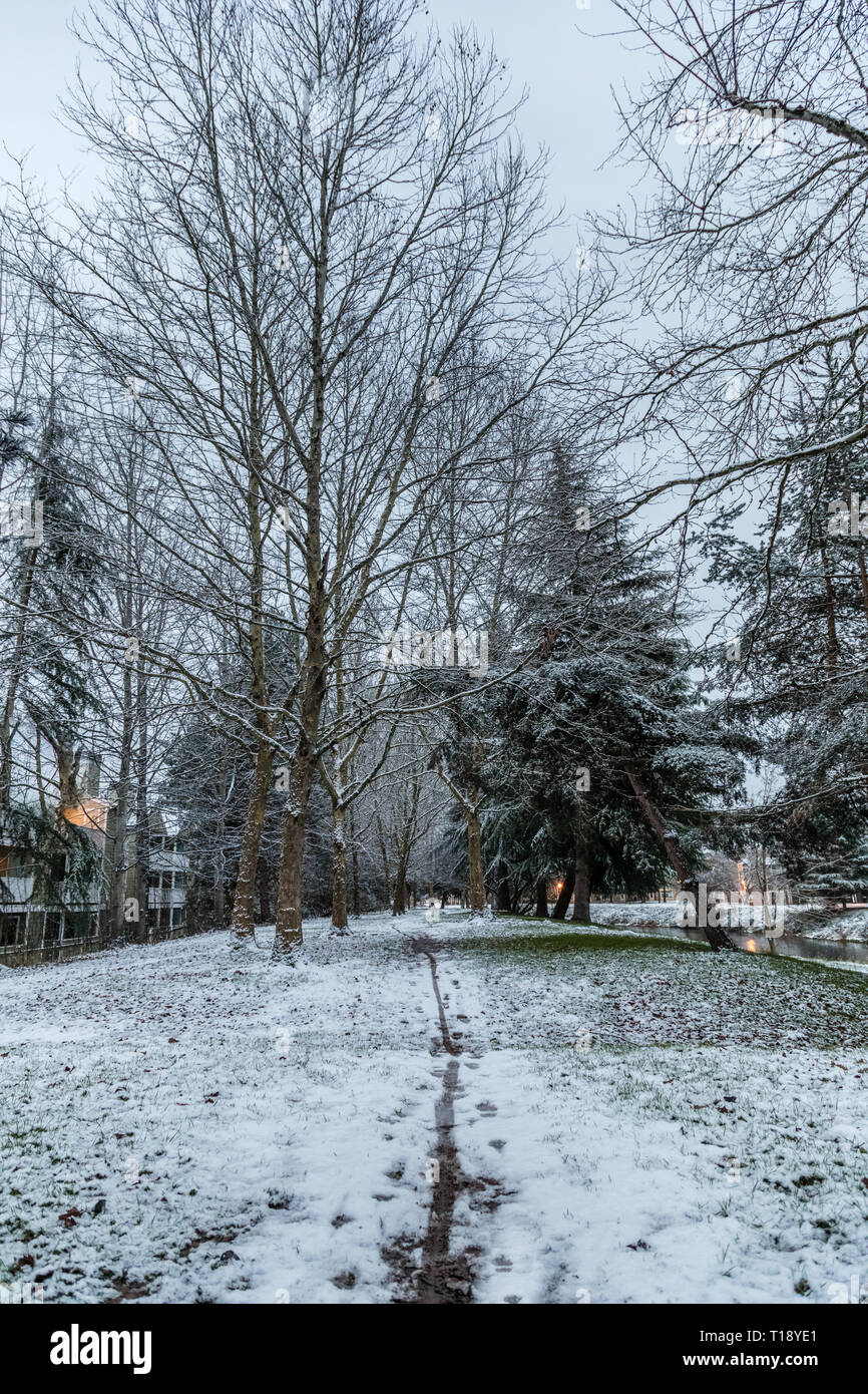 Light snow in Redmond WA with a line drawn in the snow in the middle of ...