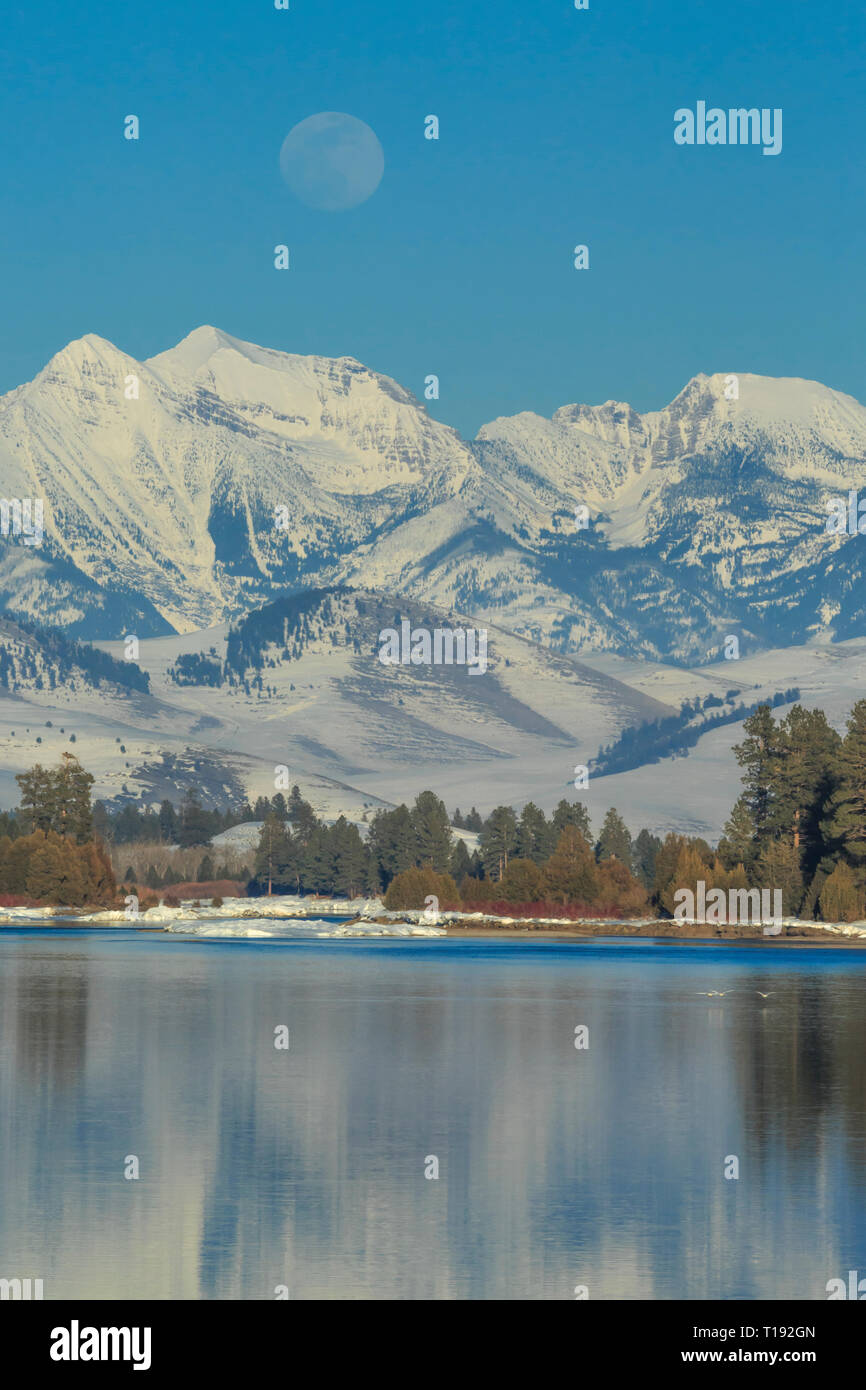 moon rising over the flathead river and mission mountains in winter ...