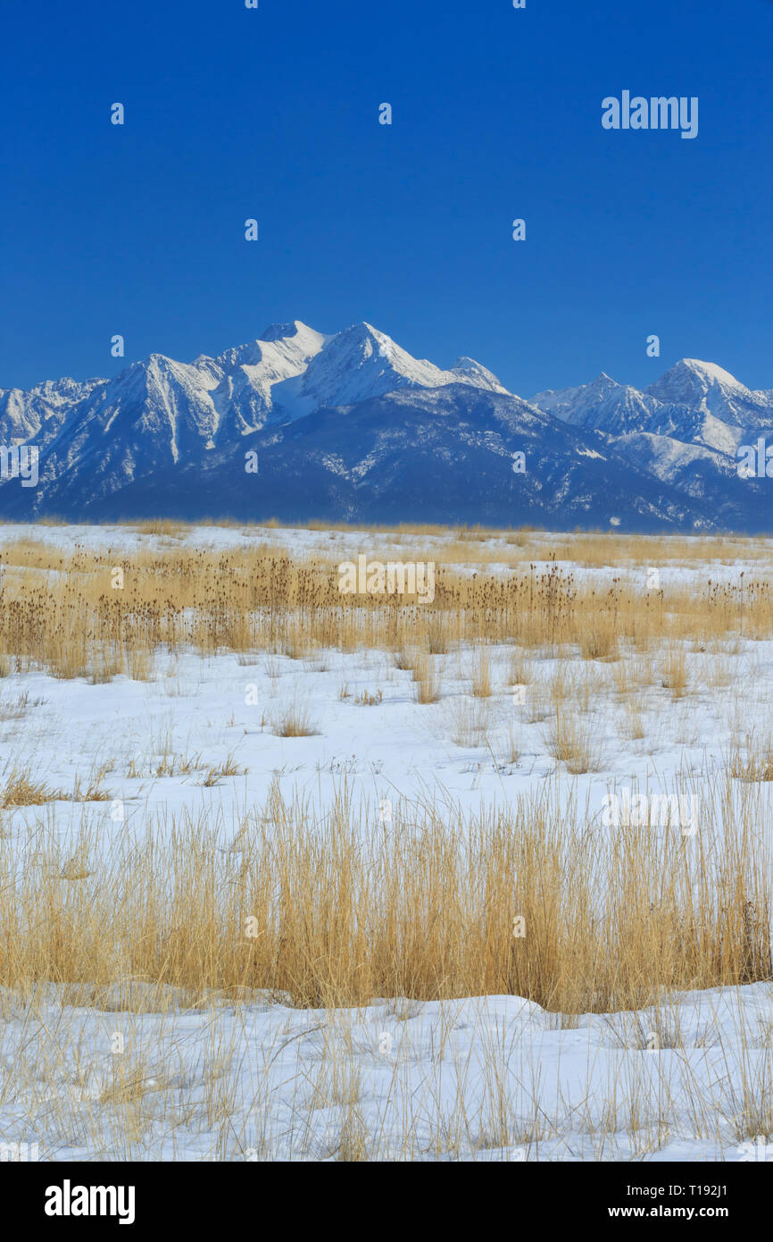 Mission valley hi-res stock photography and images - Alamy