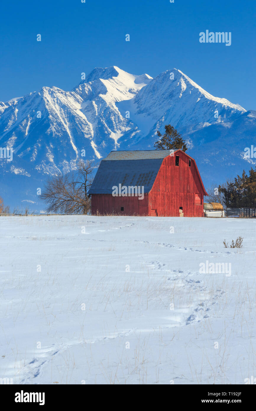 red barn below the mission mountains in winter near ronan, montana ...
