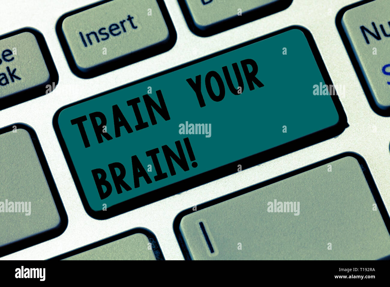 Text sign showing Train Your Brain. Business photo text Educate ...