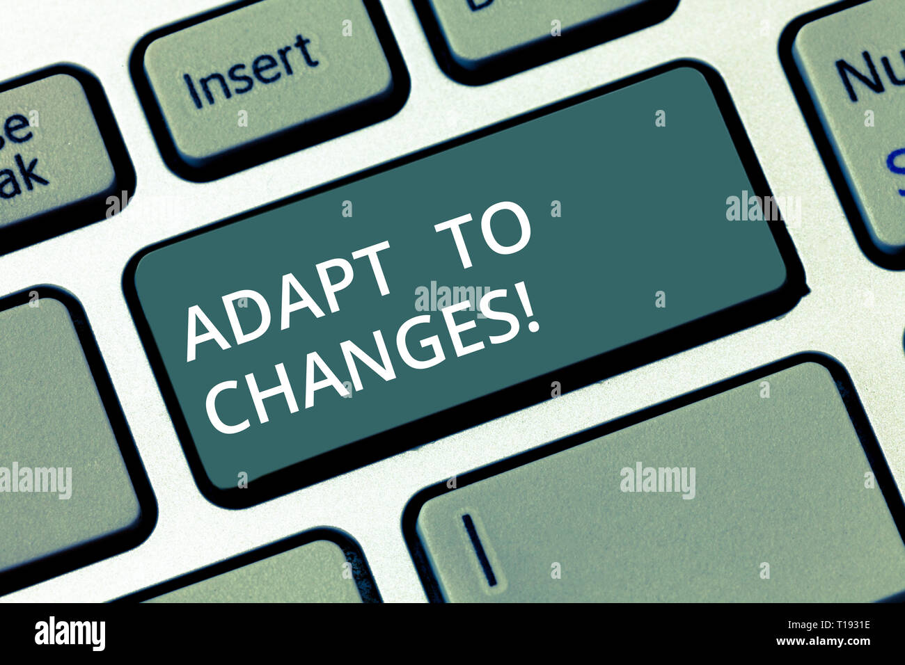 Conceptual hand writing showing Adapt To Changes. Concept meaning ...