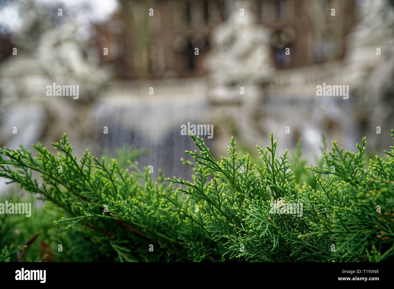 Square in torino fountain people hi-res stock photography and images ...