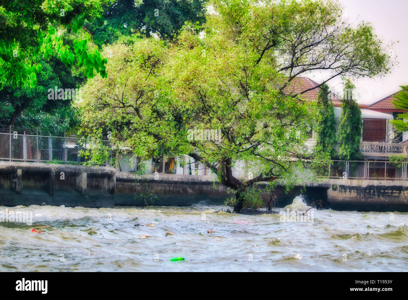 Plants canals hi-res stock photography and images - Alamy