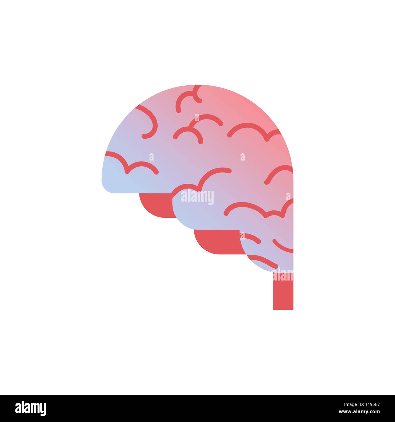 brain icon human organ anatomy healthcare medical concept white ...