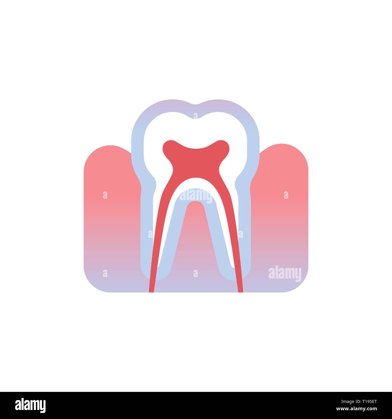 tooth icon human organ anatomy healthcare medical concept white ...