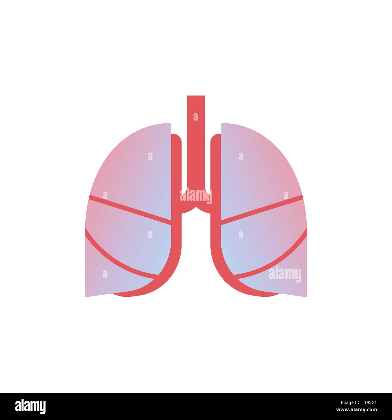 lungs icon human organ anatomy healthcare medical concept respiratory ...