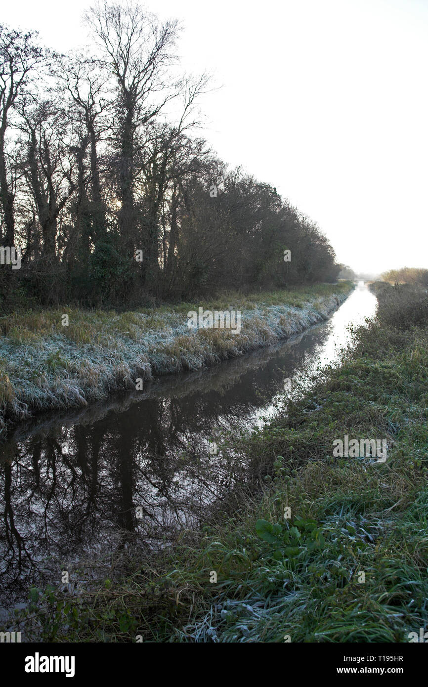 Ham common lake hi-res stock photography and images - Alamy