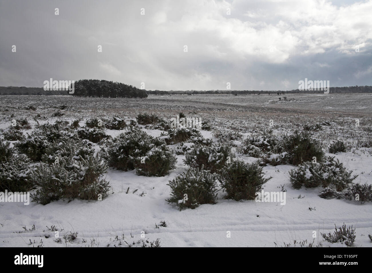 Deadman valley hi-res stock photography and images - Alamy