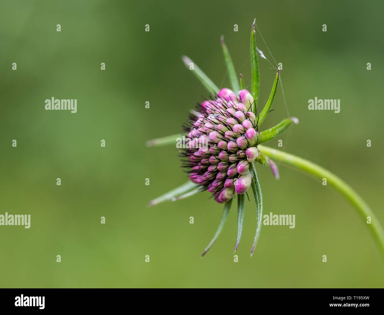 Bit field hi-res stock photography and images - Alamy