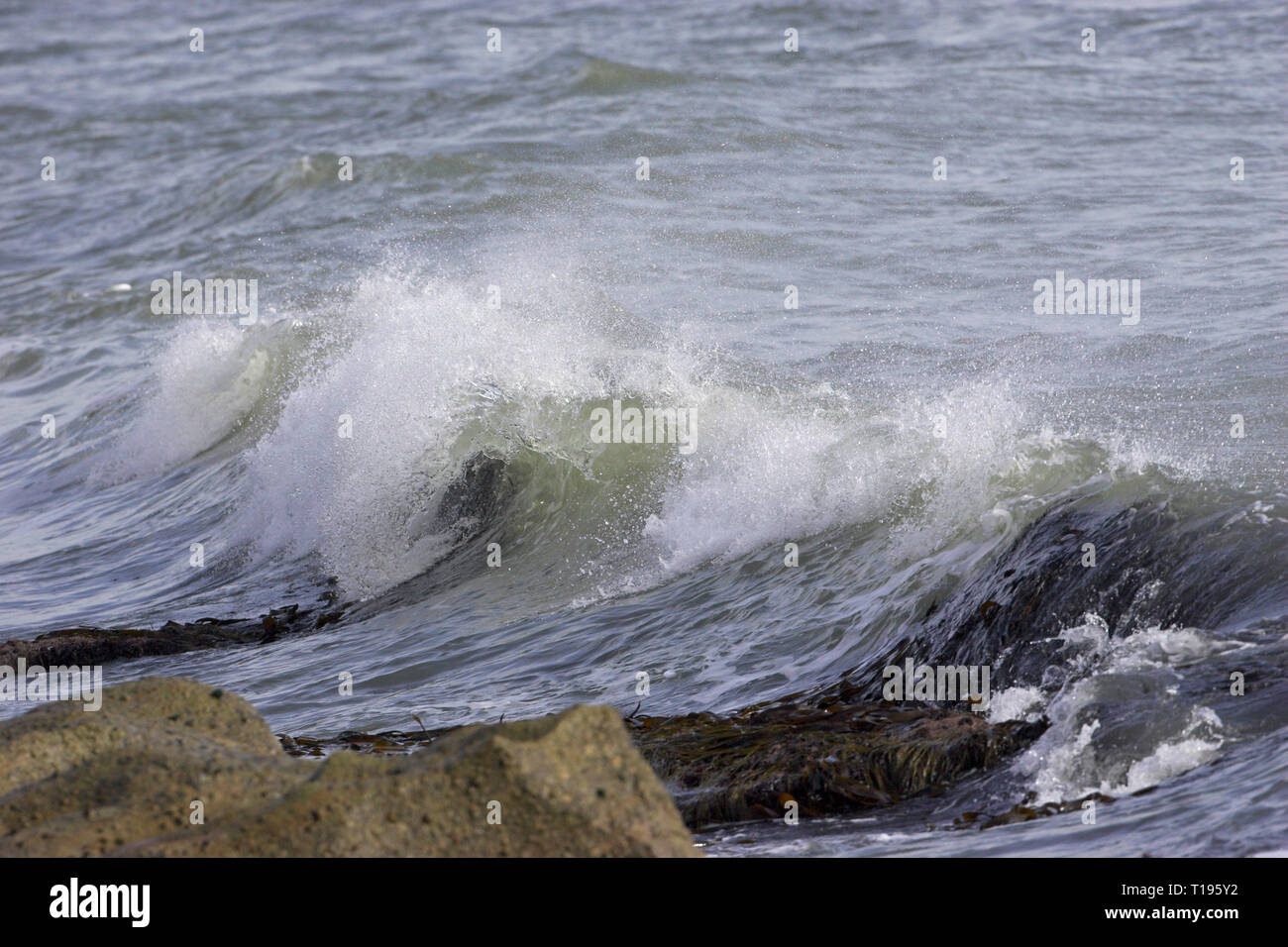 Wave reaching rocky shore Portland Bill Dorset England Stock Photo - Alamy