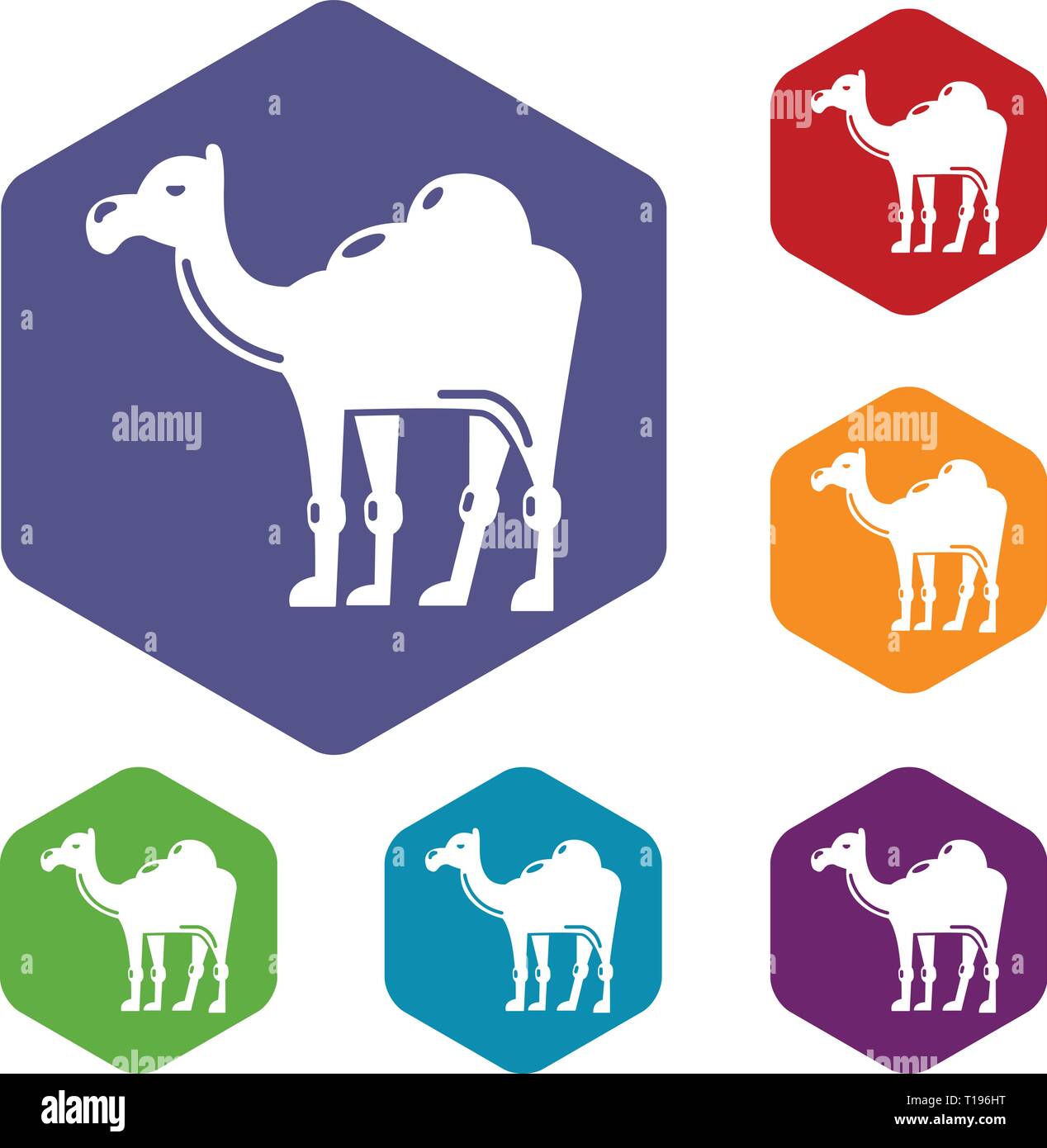 Camel icons vector hexahedron Stock Vector Image & Art - Alamy