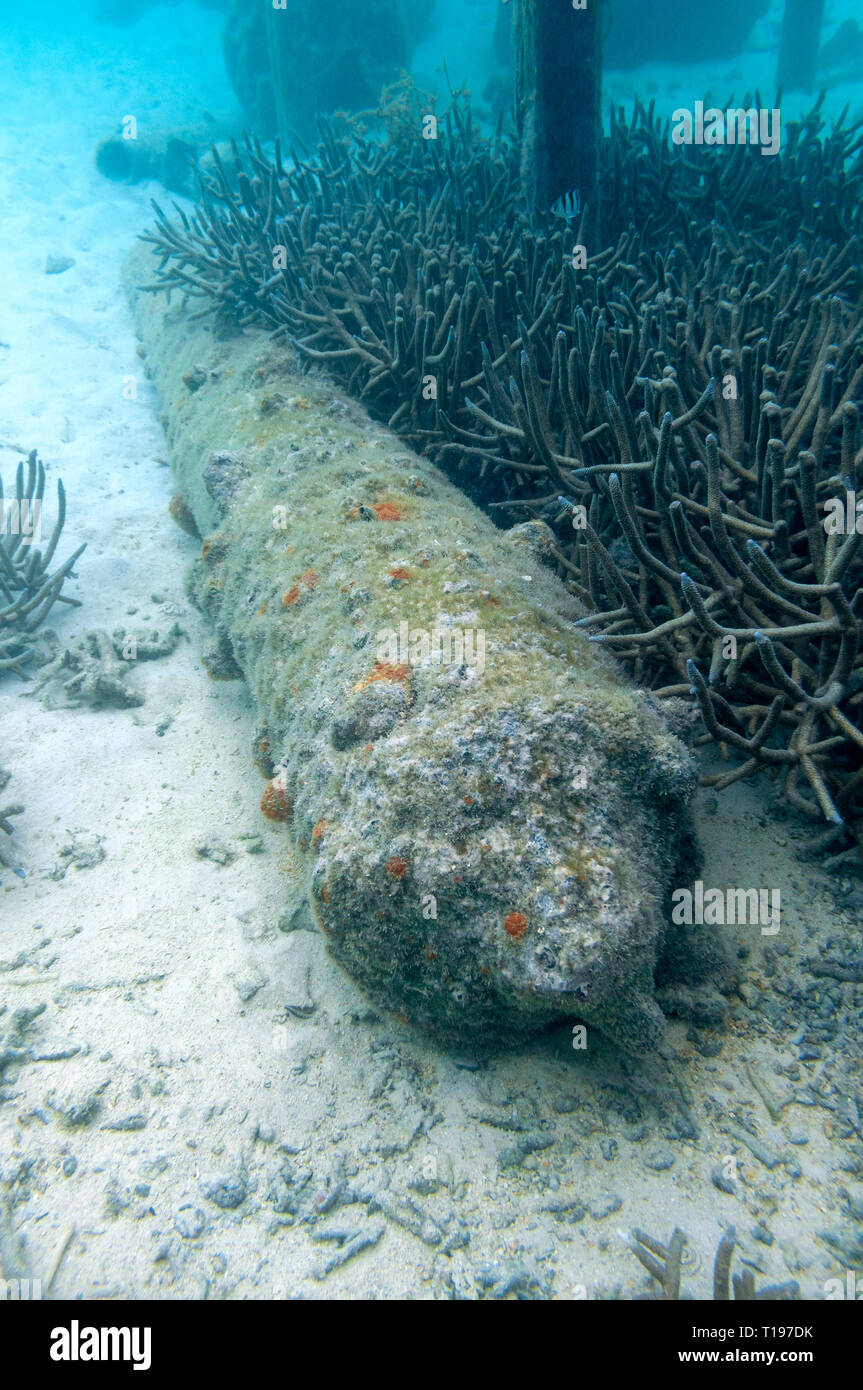 Cannon on jetty hi-res stock photography and images - Alamy