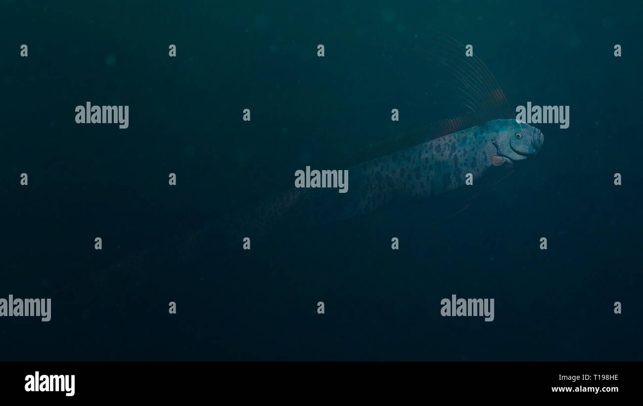 Regalecus glesne hi-res stock photography and images - Alamy