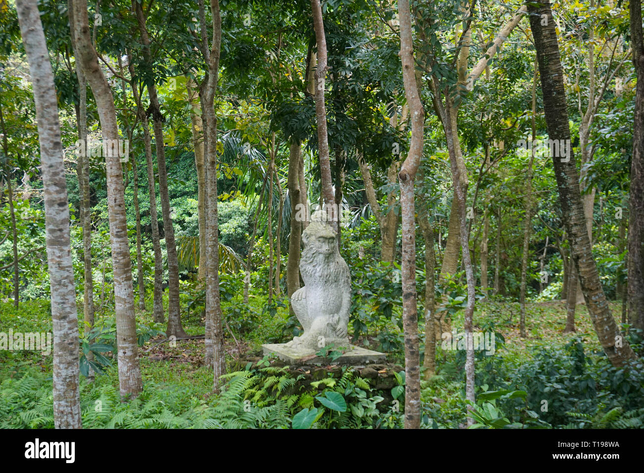 Stone monkey statue hi-res stock photography and images - Alamy