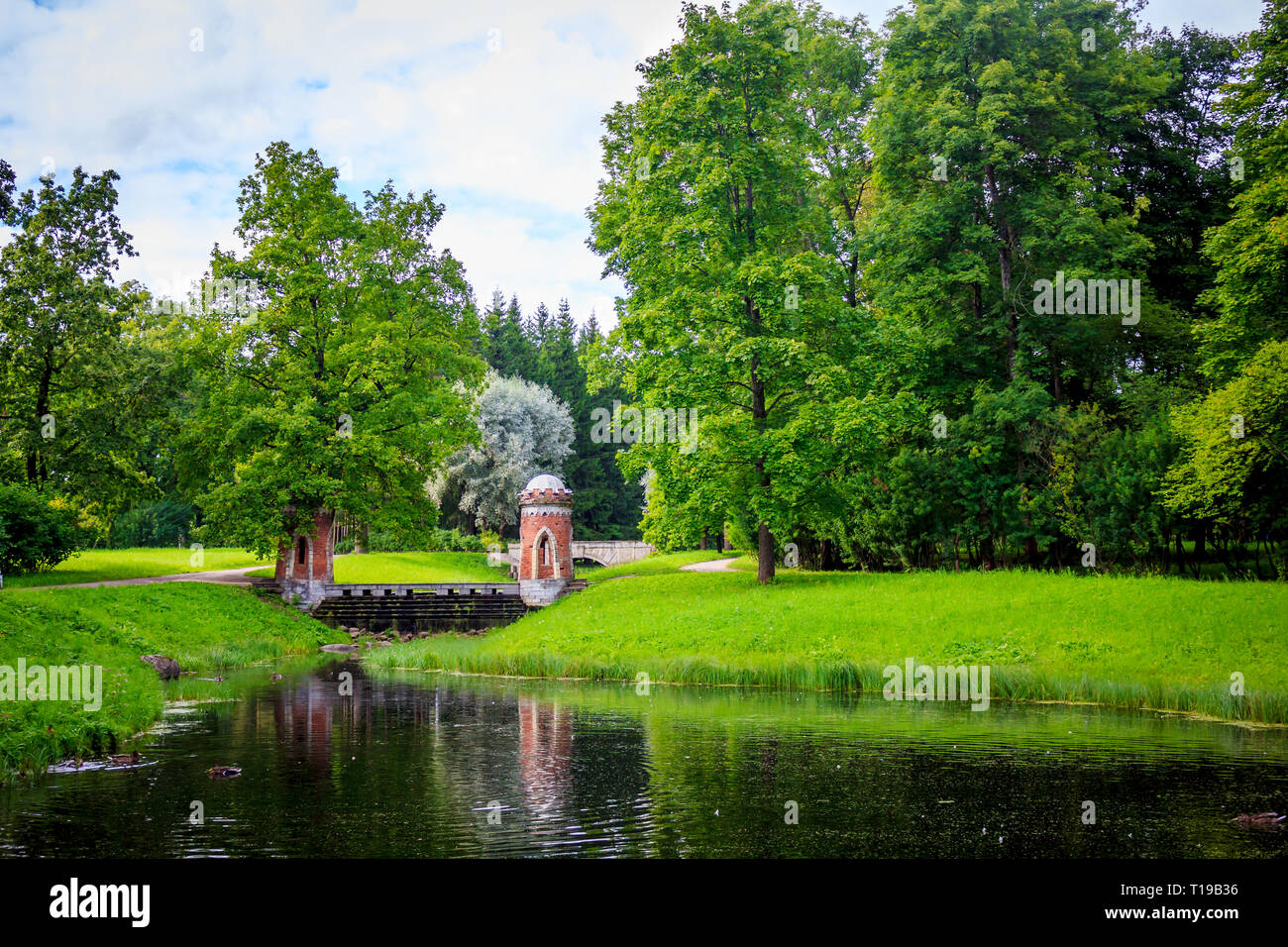 Summer green park. Grass, foliage, trees. Bright park. Summer Park ...