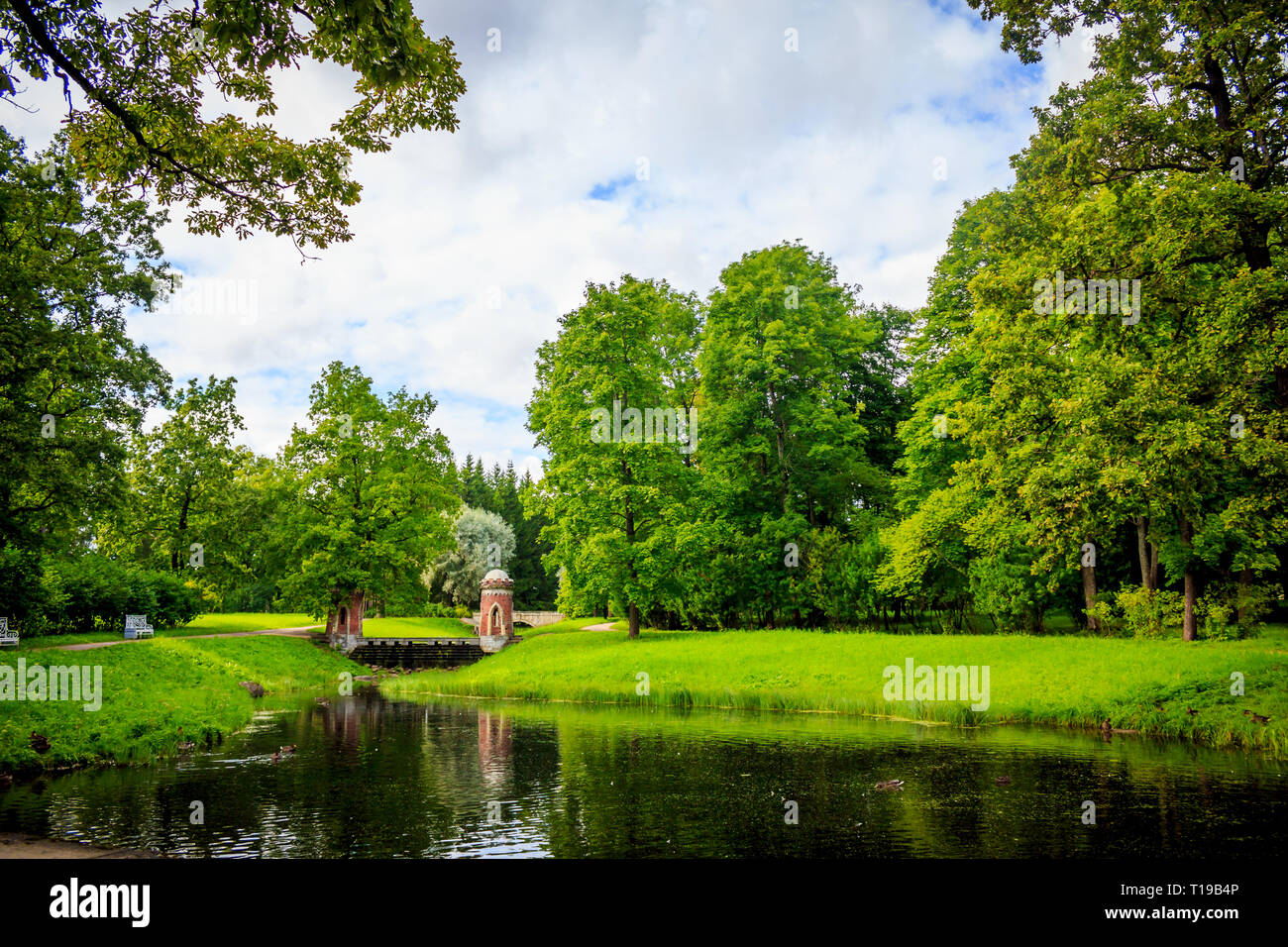 Summer green park. Grass, foliage, trees. Bright park. Summer Park ...