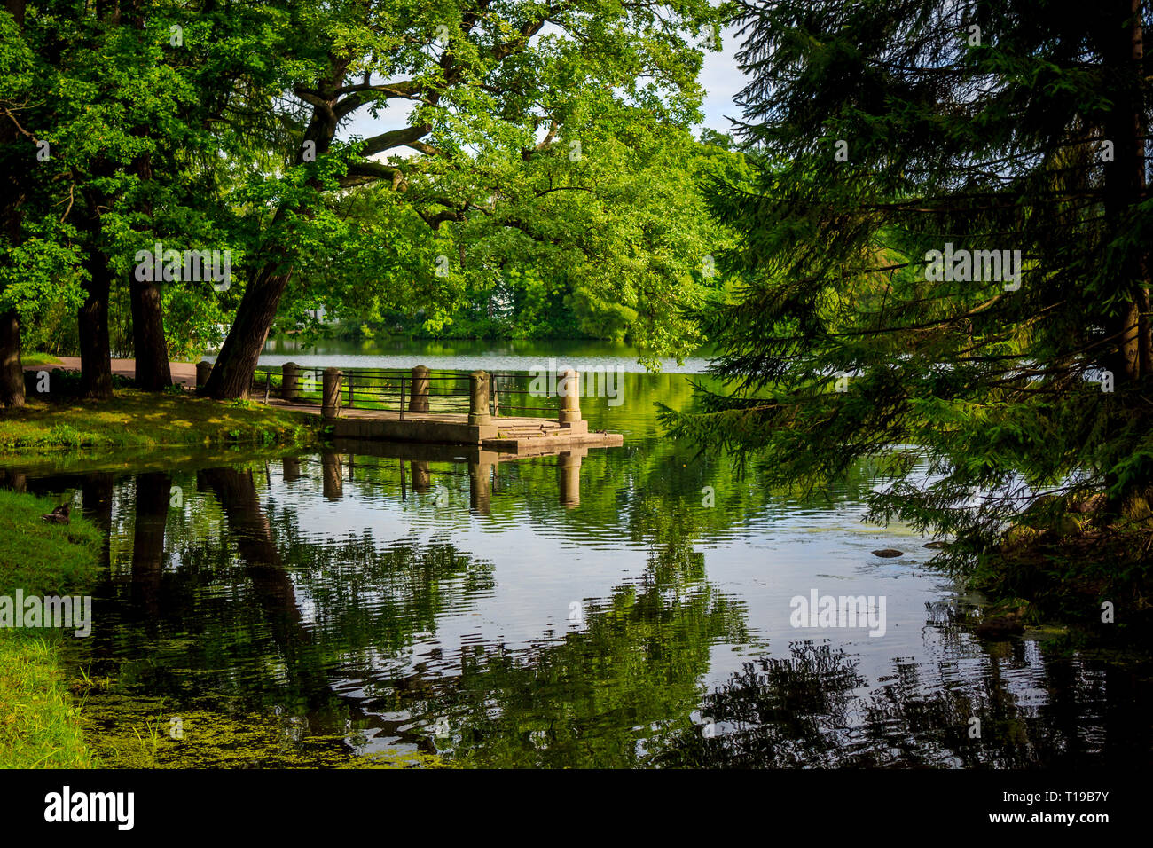 Summer green park. Grass, foliage, trees. Bright park. Summer Park ...