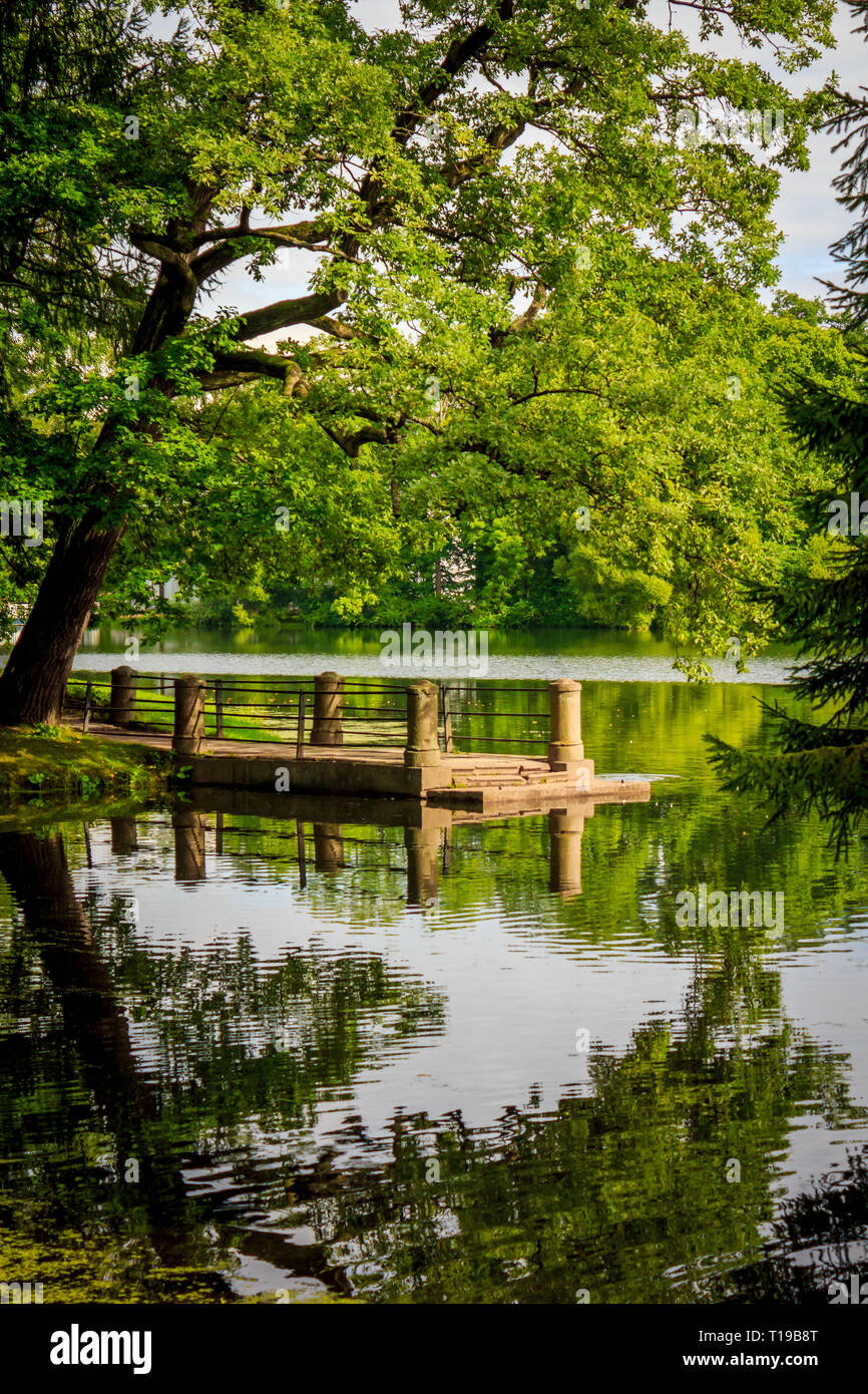 Summer green park. Grass, foliage, trees. Bright park. Summer Park ...