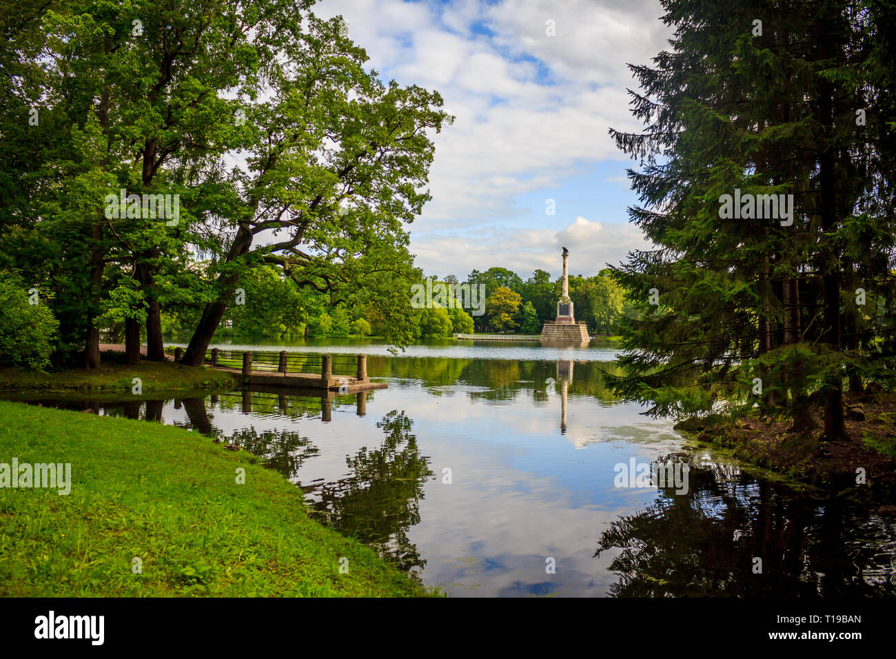 Summer green park. Grass, foliage, trees. Bright park. Summer Park ...