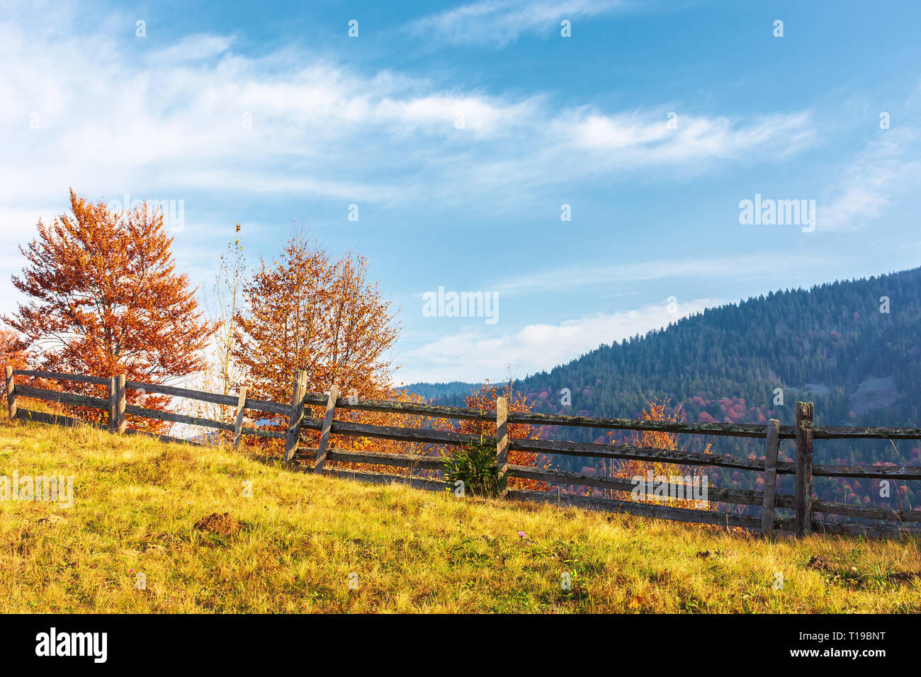 Hillside scenery hi-res stock photography and images - Alamy