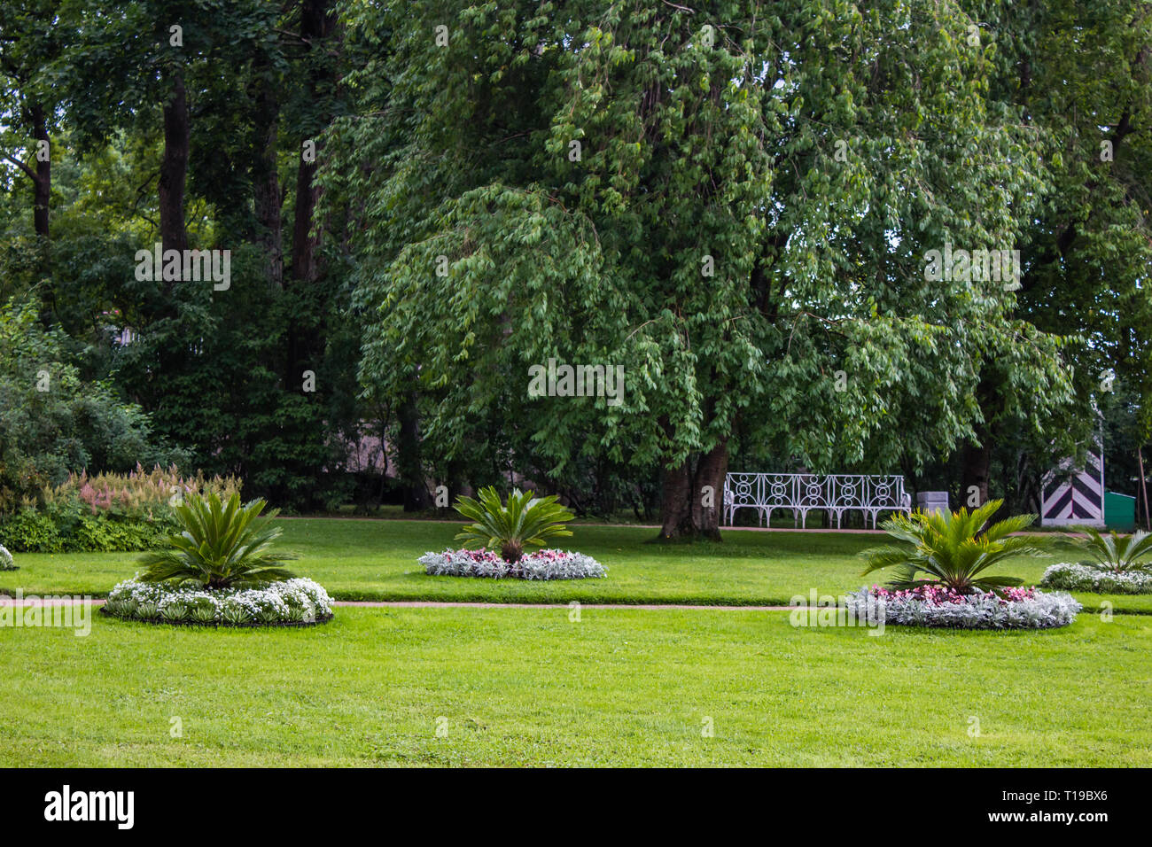 Summer green park. Grass, foliage, trees. Bright park. Summer Park ...