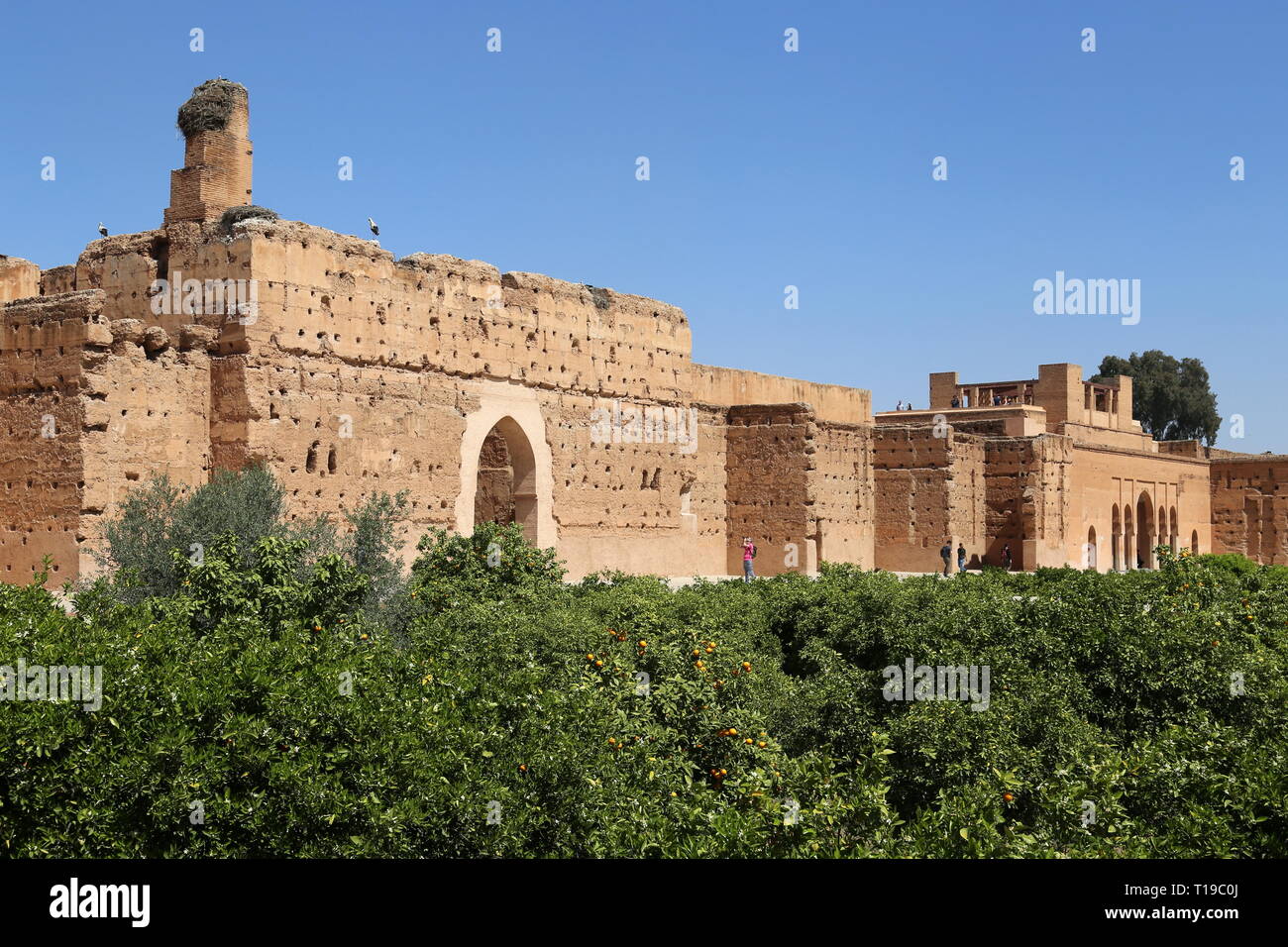 Medina Marrakech Unesco World High Resolution Stock Photography and ...