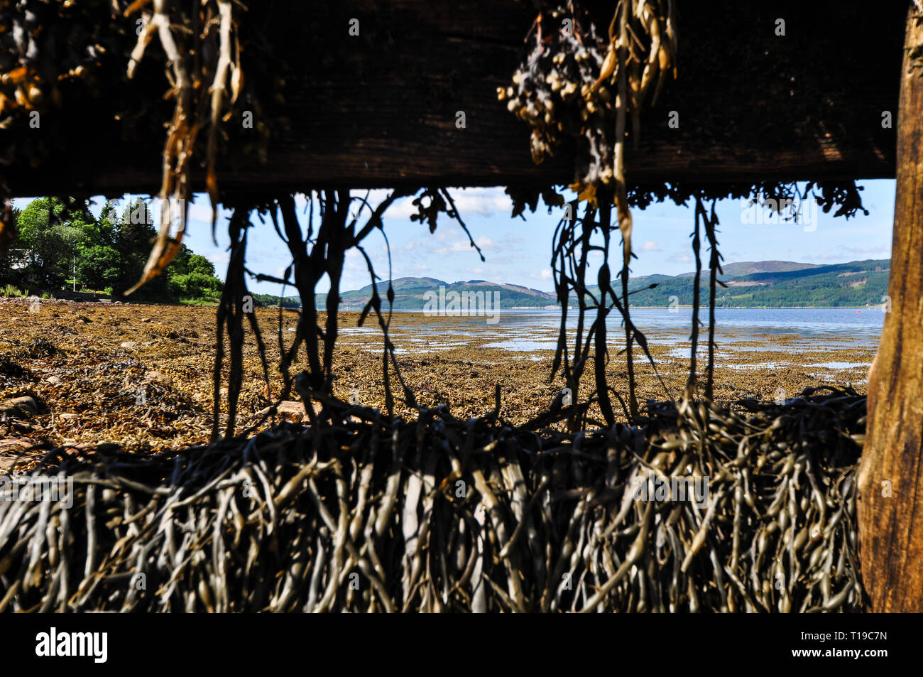 Loch shield hi-res stock photography and images - Alamy