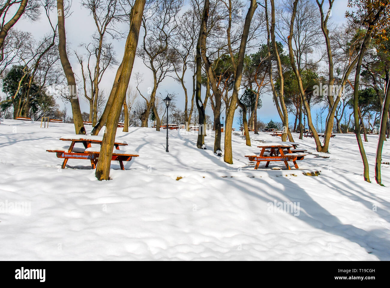Istanbul, Turkey, 26 January 2010: Emirgan grove and snow, Emirgan ...