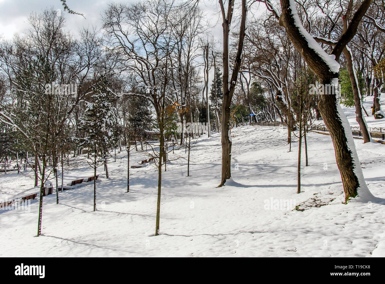 Istanbul, Turkey, 26 January 2010: Emirgan grove and snow, Emirgan ...
