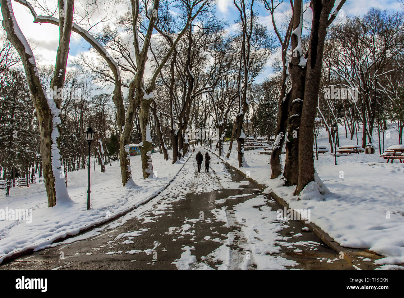 Istanbul, Turkey, 26 January 2010: Emirgan grove and snow, Emirgan ...