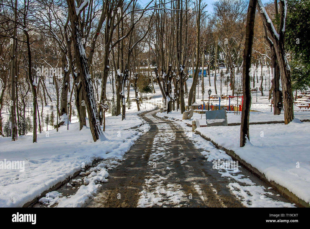 Istanbul, Turkey, 26 January 2010: Emirgan grove and snow, Emirgan ...