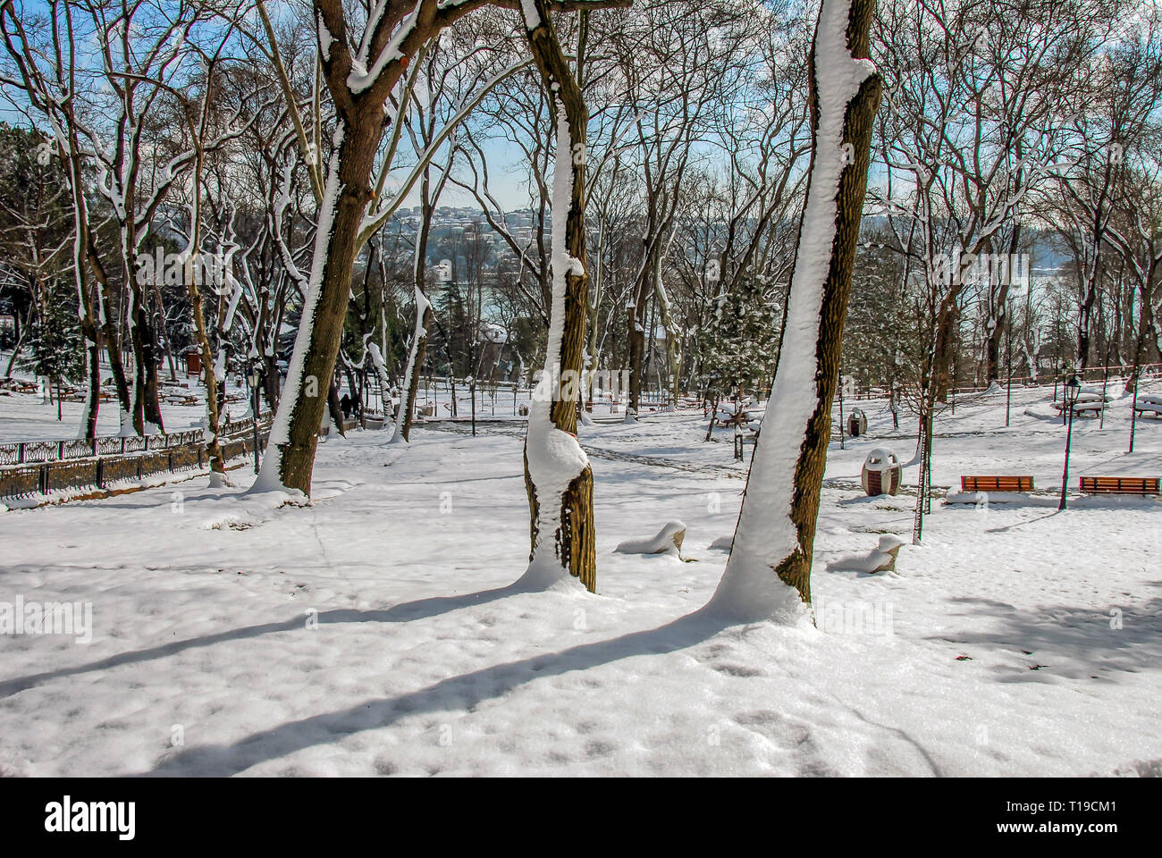 Istanbul, Turkey, 26 January 2010: Emirgan grove and snow, Emirgan ...