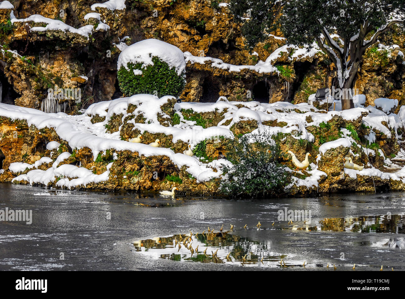 Istanbul, Turkey, 26 January 2010: Emirgan grove and snow, Emirgan ...