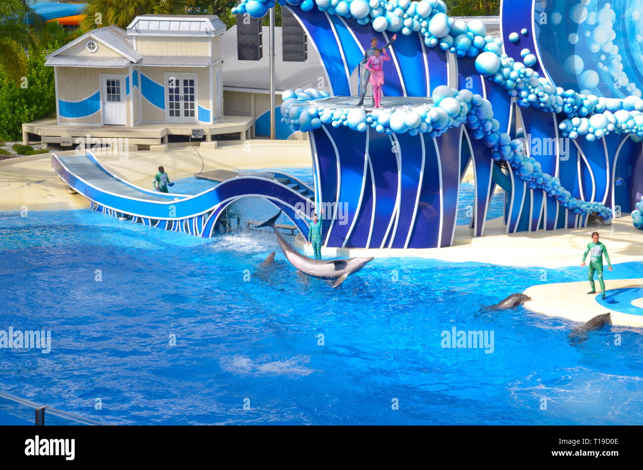 Smamu Stadium at Seaworld Orlando, USA Stock Photo - Alamy