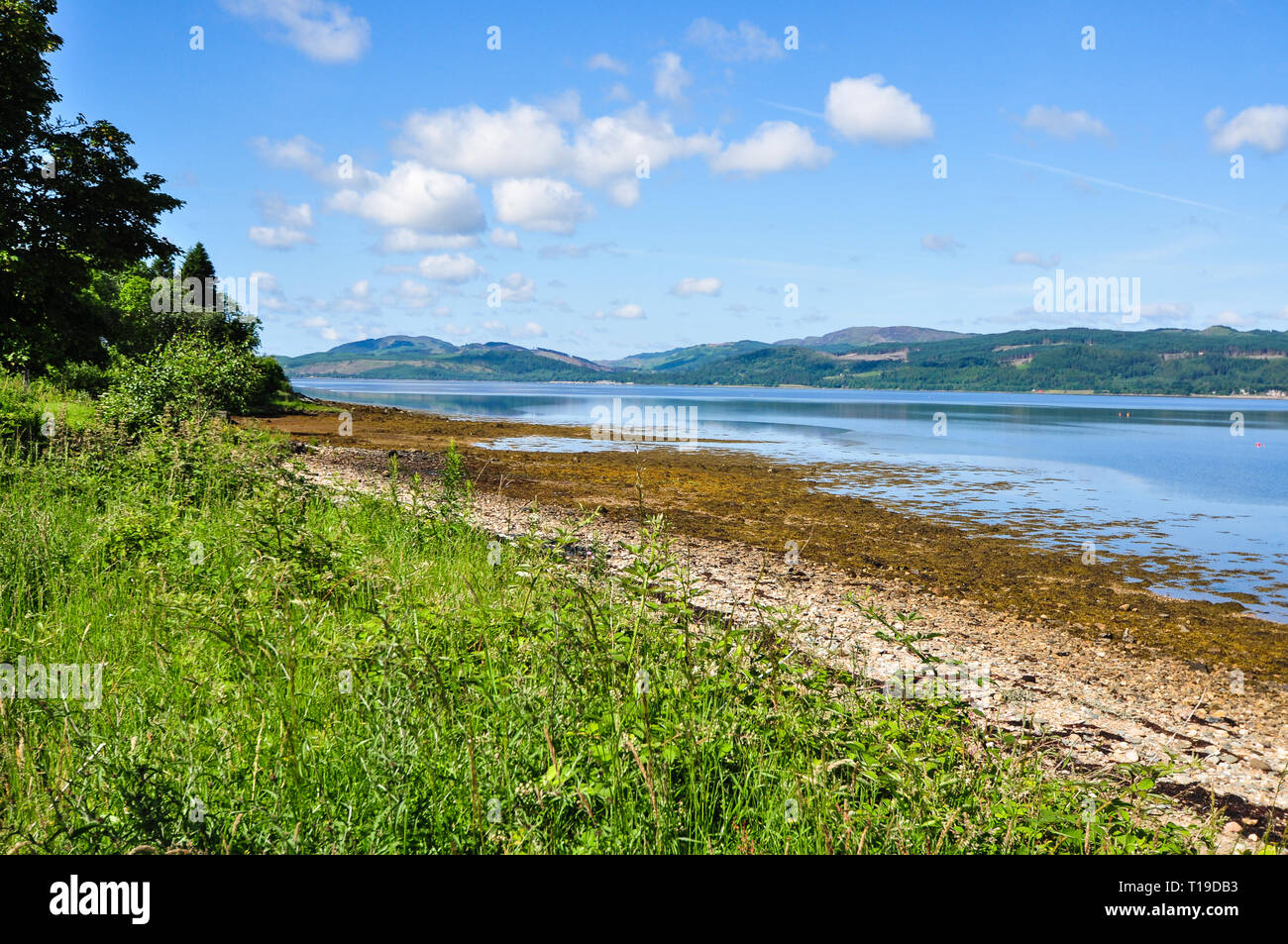 Loch shield hi-res stock photography and images - Alamy