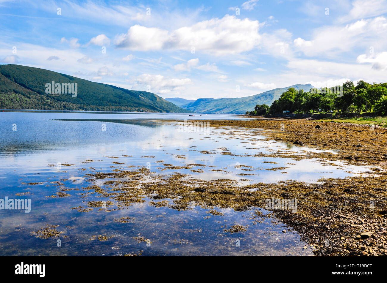 Loch shield hi-res stock photography and images - Alamy