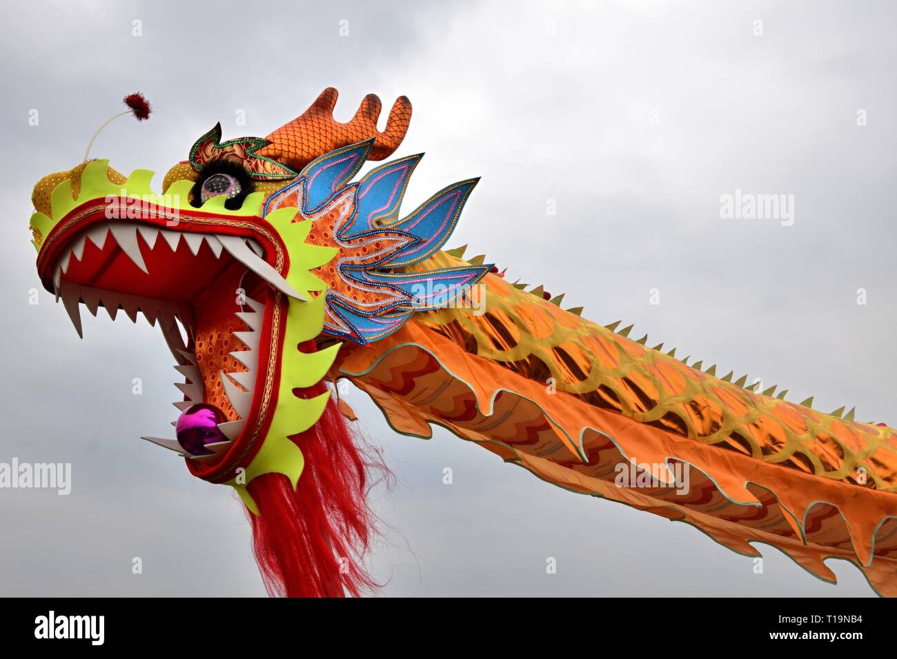 Dragon dance is a form of traditional dance in Chinese culture. It ...
