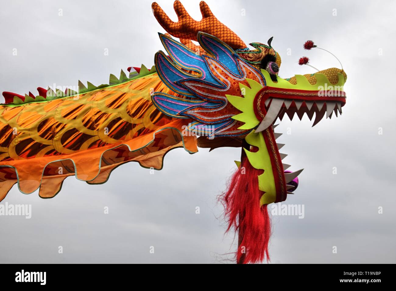 Dragon dance is a form of traditional dance in Chinese culture. It ...