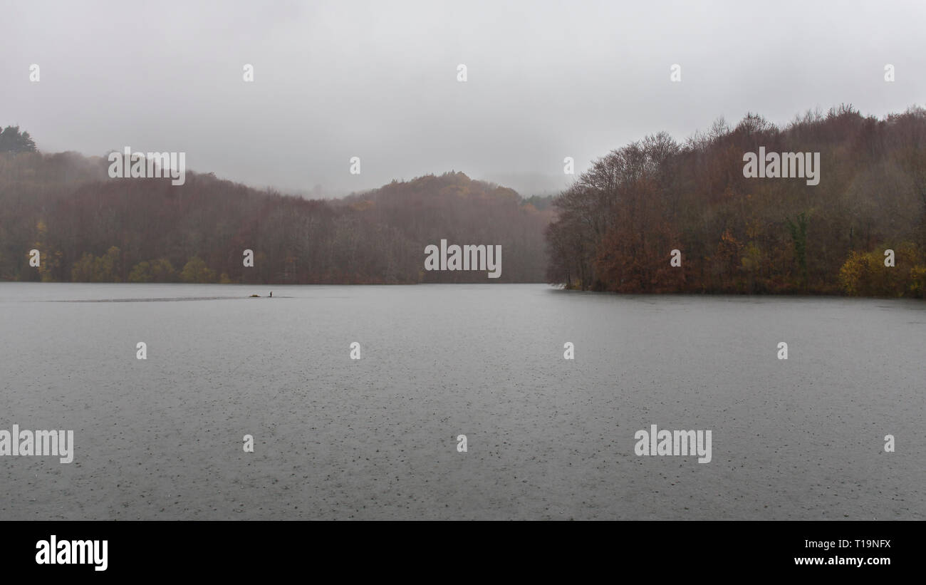 Swamp of Santa Fe in a raining day, Montseny natural park, Barcelona ...