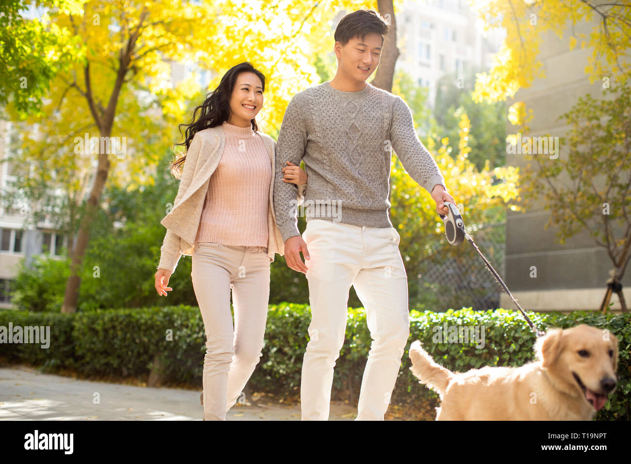 Couple walking golden retriever hi-res stock photography and images - Alamy