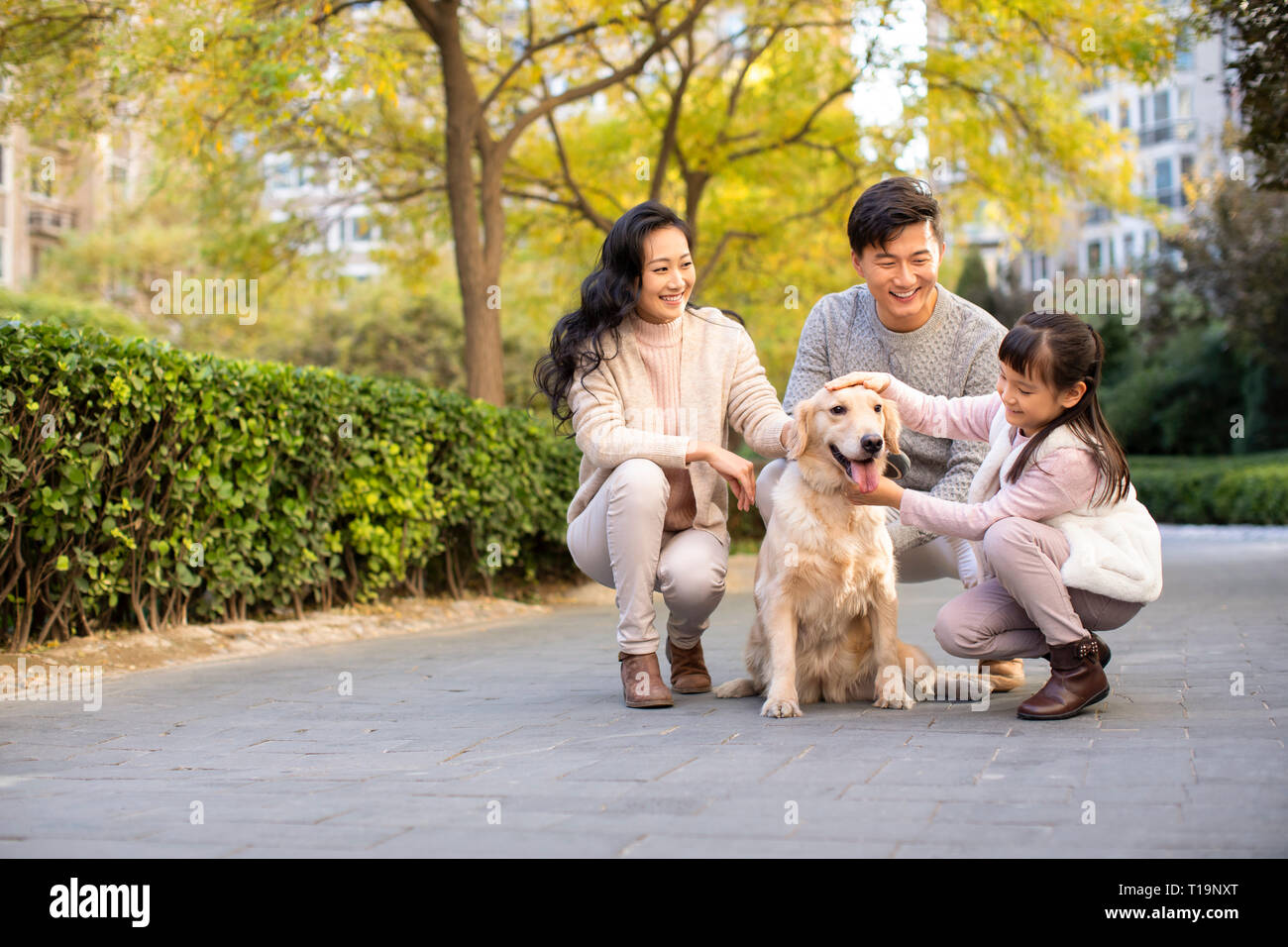 Happy young family playing with dog Stock Photo - Alamy