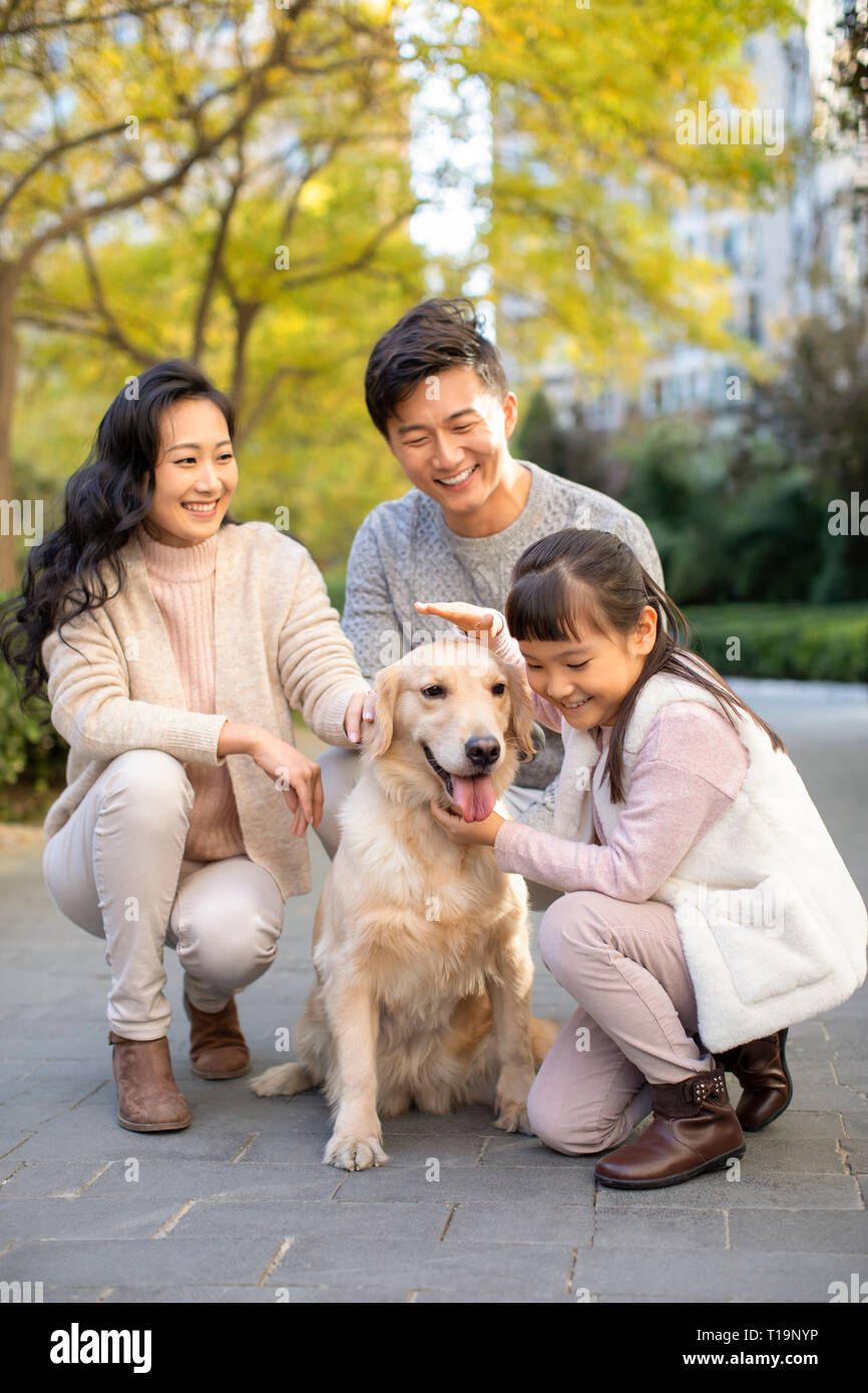 Happy young family playing with dog Stock Photo - Alamy