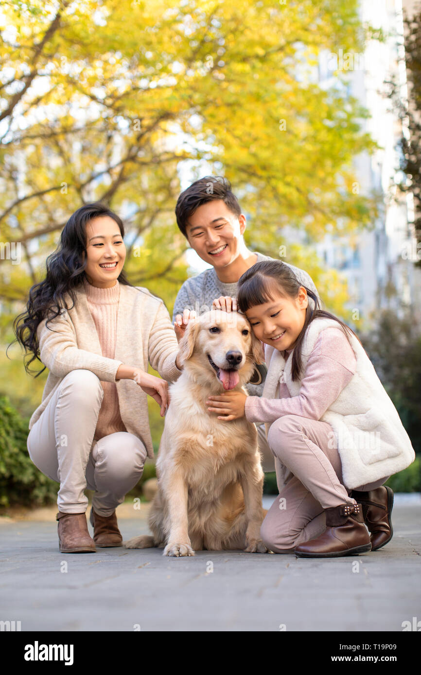 Happy young family playing with dog Stock Photo - Alamy