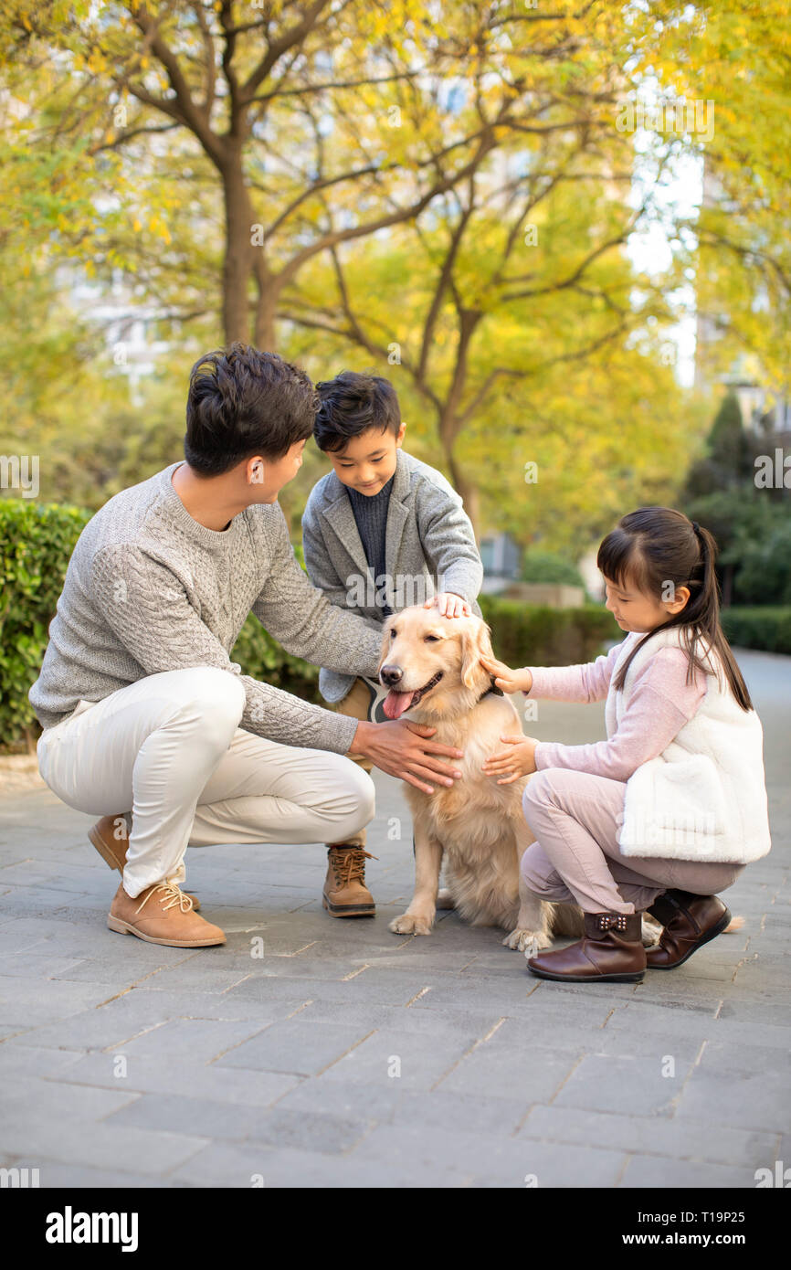 Happy young family playing with dog Stock Photo - Alamy