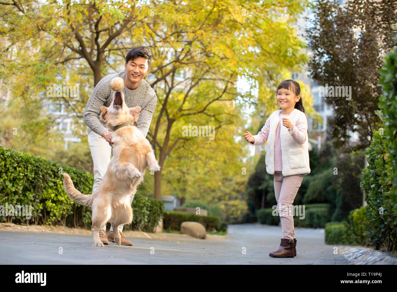 Happy young family playing with dog Stock Photo - Alamy
