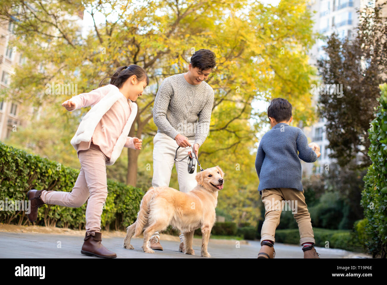 Happy young family playing with dog Stock Photo - Alamy
