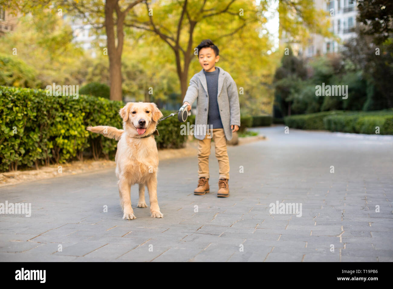 Little boy walking his dog Stock Photo - Alamy Little boy walking his dog Stock Photo - Alamy